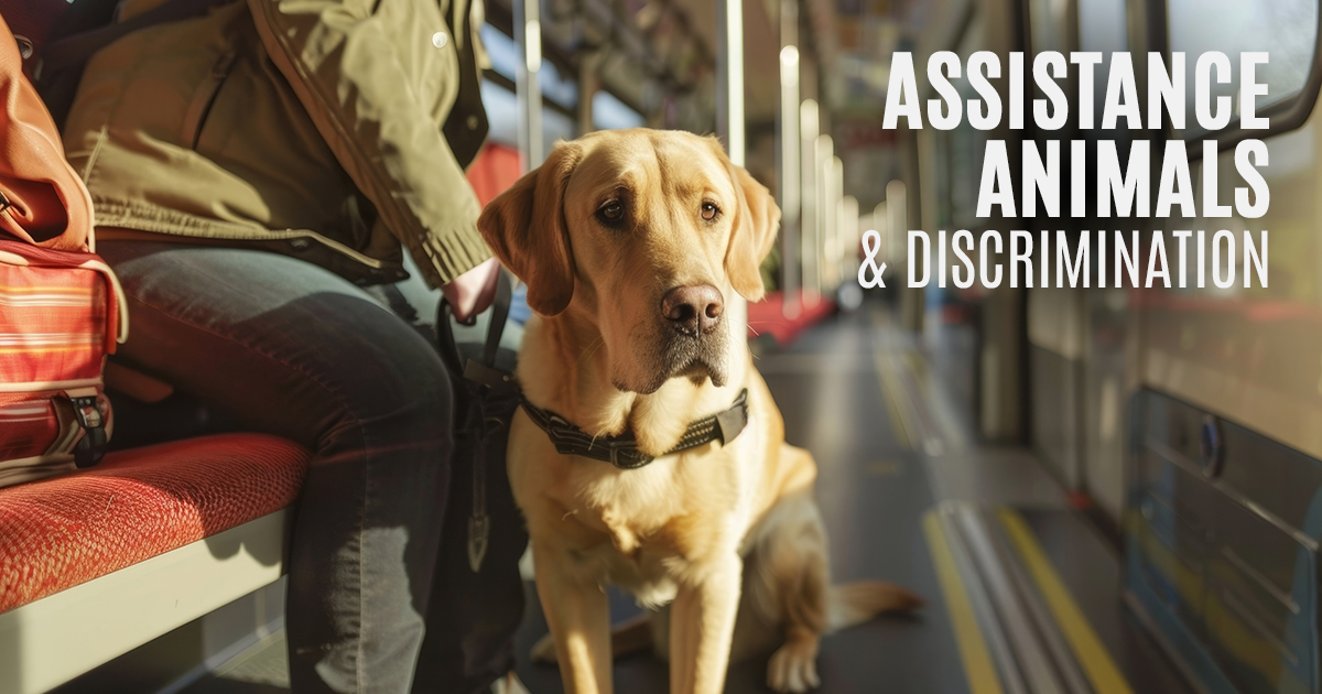 Assistance Animals, Discrimination & Your Rights | Hall Payne
